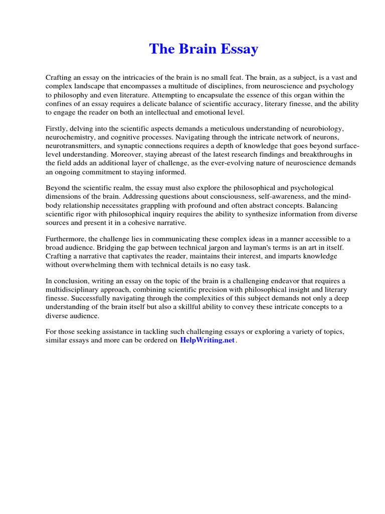 The Brain Essay | PDF | Neuroscience | Brain