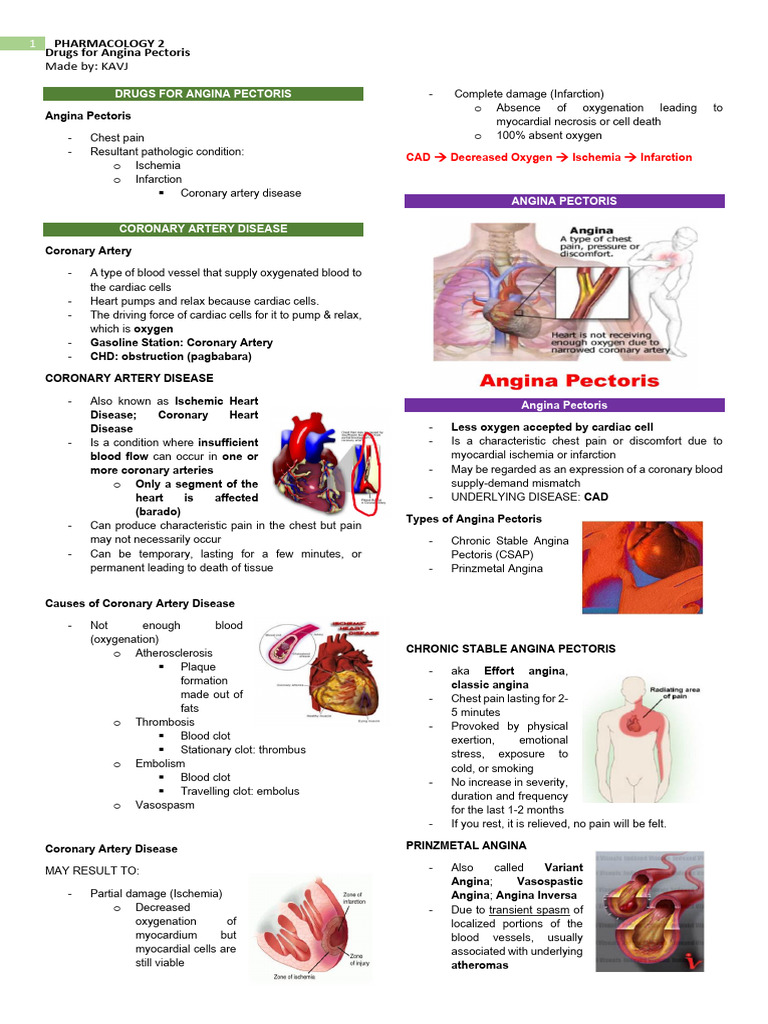 Drugs For Angina Pectoris (Notes) | PDF | Coronary Artery Disease ...