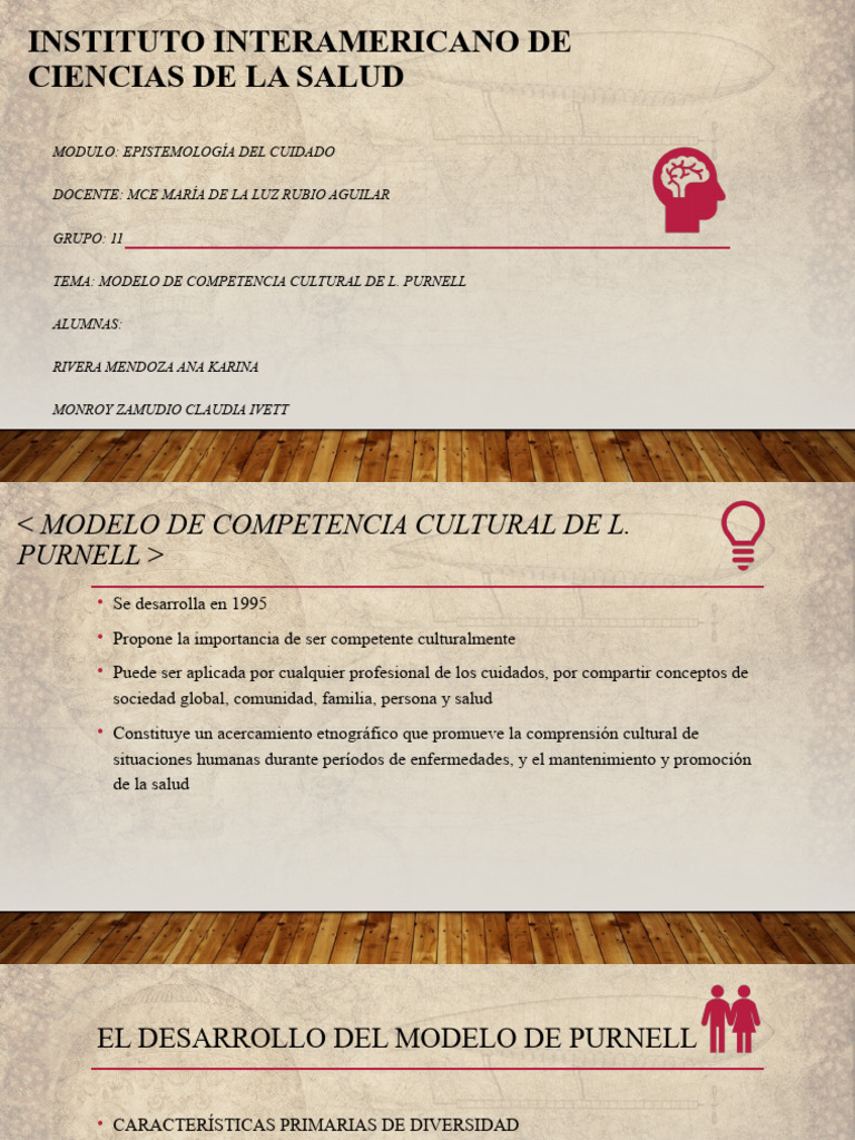 Modelo de Competencia Cultural de L. Purnell | PDF | Sociedad