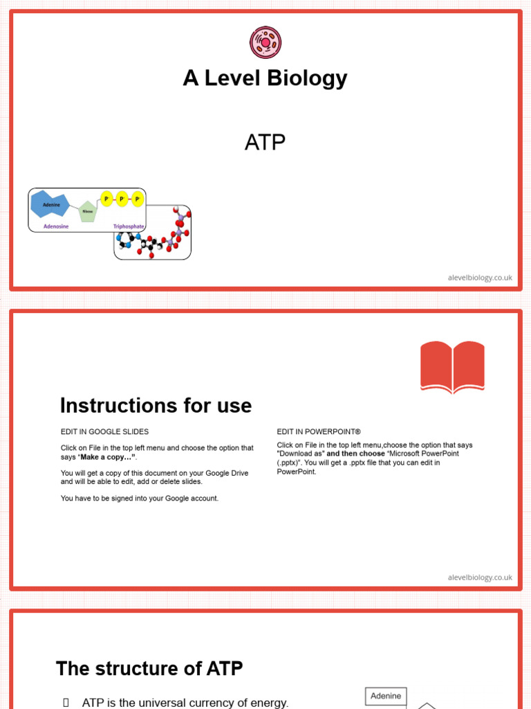 A Level Biology: Alevelbiology - Co.uk | PDF | Adenosine Diphosphate ...