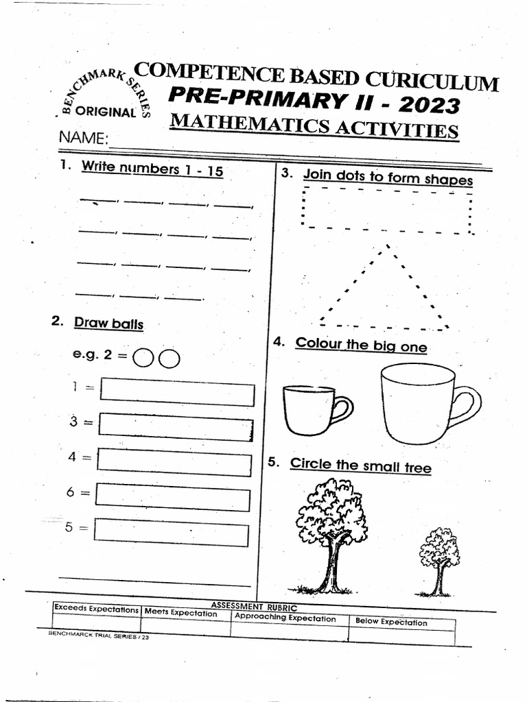 Pp2 - Benchmark Series Maths | PDF