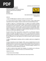 Qué Es El CONAP | PDF