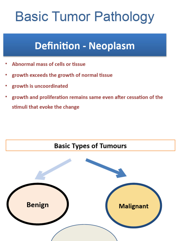 04 Basic Tumor Pathology1 | PDF | Neoplasms | Carcinoma
