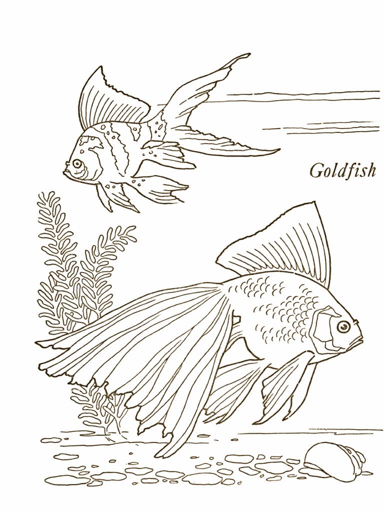 Goldfish Coloring Page GraphicsFairy | PDF