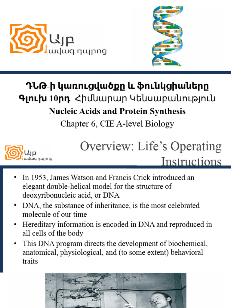 Lect2 DNA RNA STR Repl ProtSynts | PDF