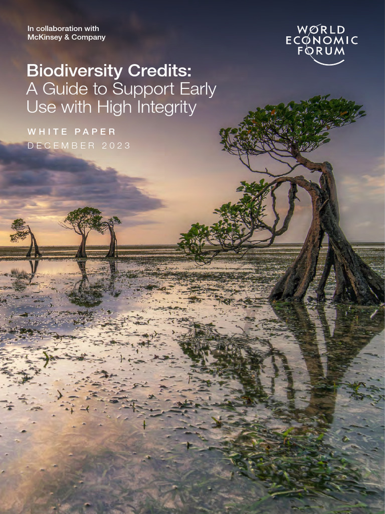 Biodiversity Credits | PDF | Biodiversity | Risk