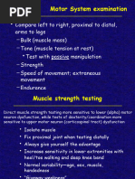 Pyramidal vs Extrapyramidal Tracts | PDF | Neuroscience | Neuroanatomy