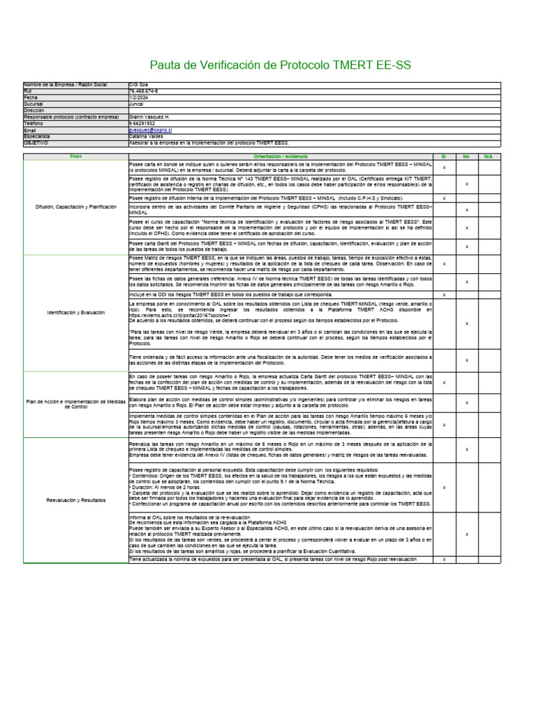 Pauta Verificacion Tmert | PDF