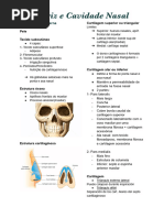 Anatomia Do Nariz e Seios Da Face | PDF | Sistema Esquelético | Otorrinolaringologia