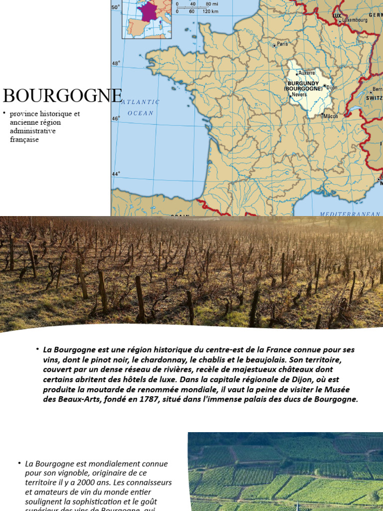 Bourgogne Pdf Sciences Sociales Livres De Cuisine Nourriture Et Vin