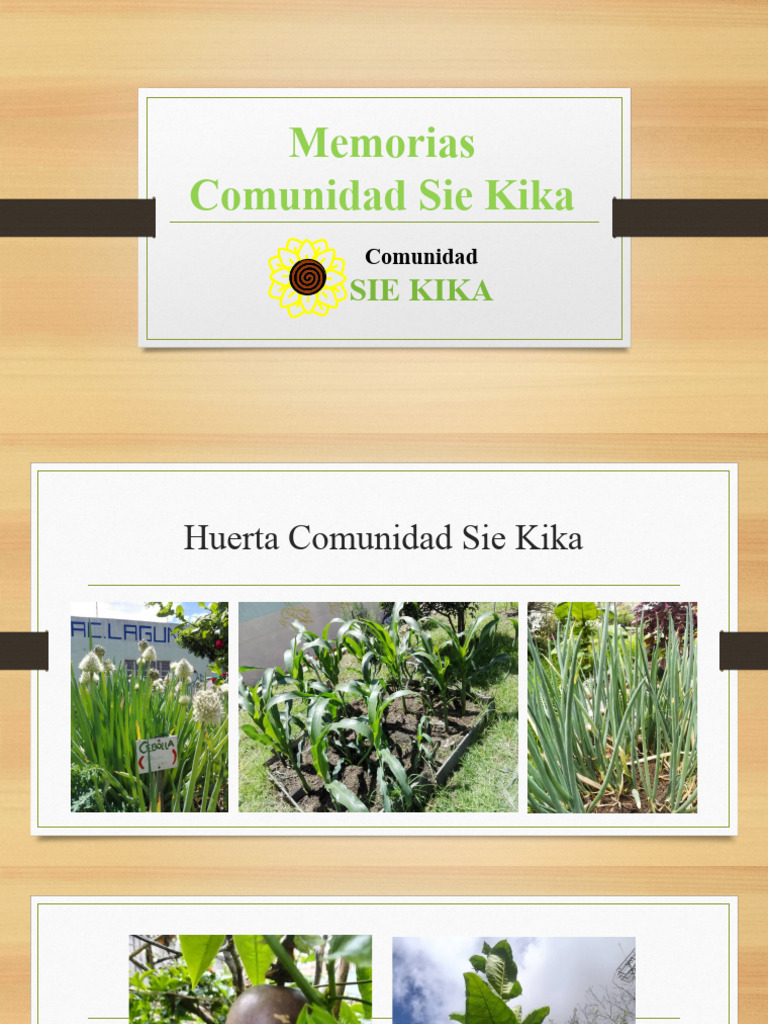 WEBINAR Sie Kika - Trébol | PDF | Cocina, comidas y vino | Hogar, jardinería y bricolaje