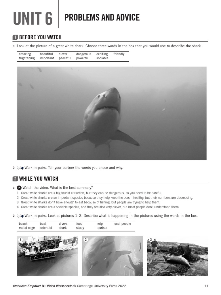 Empower Pre-Intermediate Video Activity Sheet | PDF | Sharks | Great ...