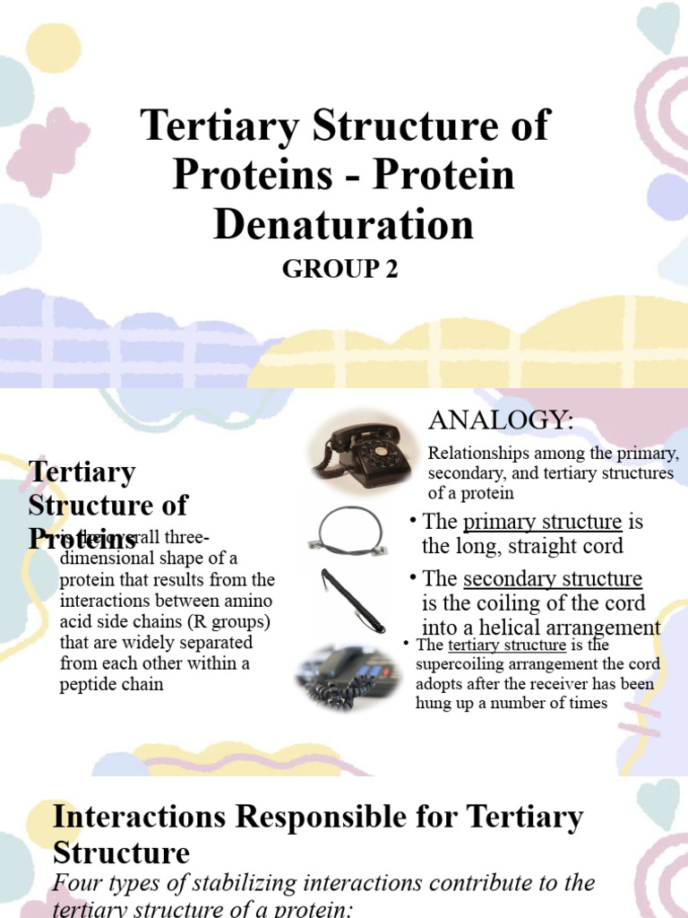 Tertiary Structure of Protein | Download Free PDF | Denaturation ...