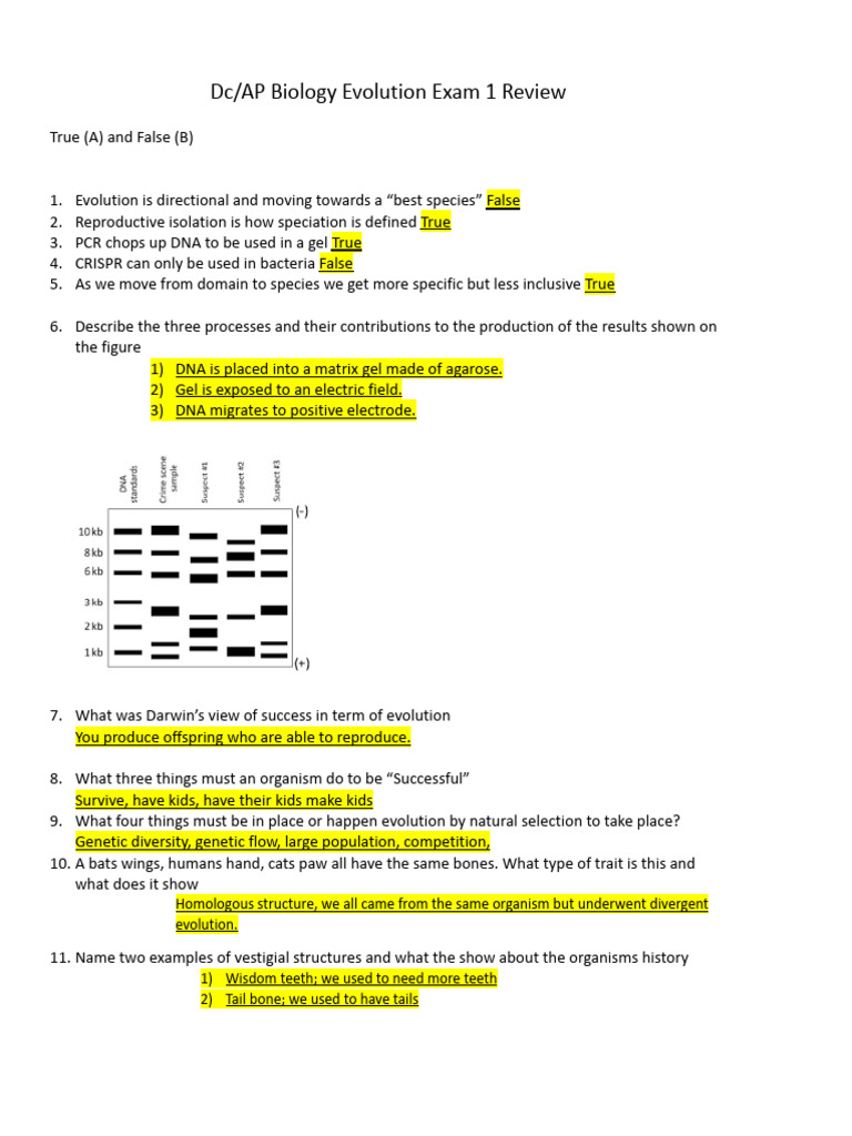 AP Biology Evolution Exam Review Guide | PDF | Natural Selection ...