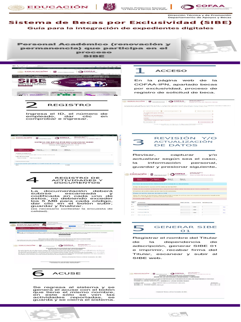 Infografía - Sibe-Web | PDF | Informática | Tecnologías de la información