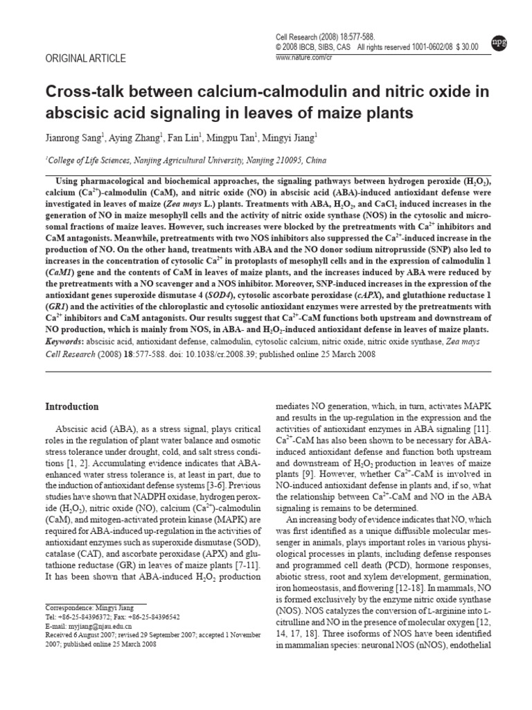 Calcium-Calmodulin and Nitric Oxide in Maize ABA Signaling | PDF ...