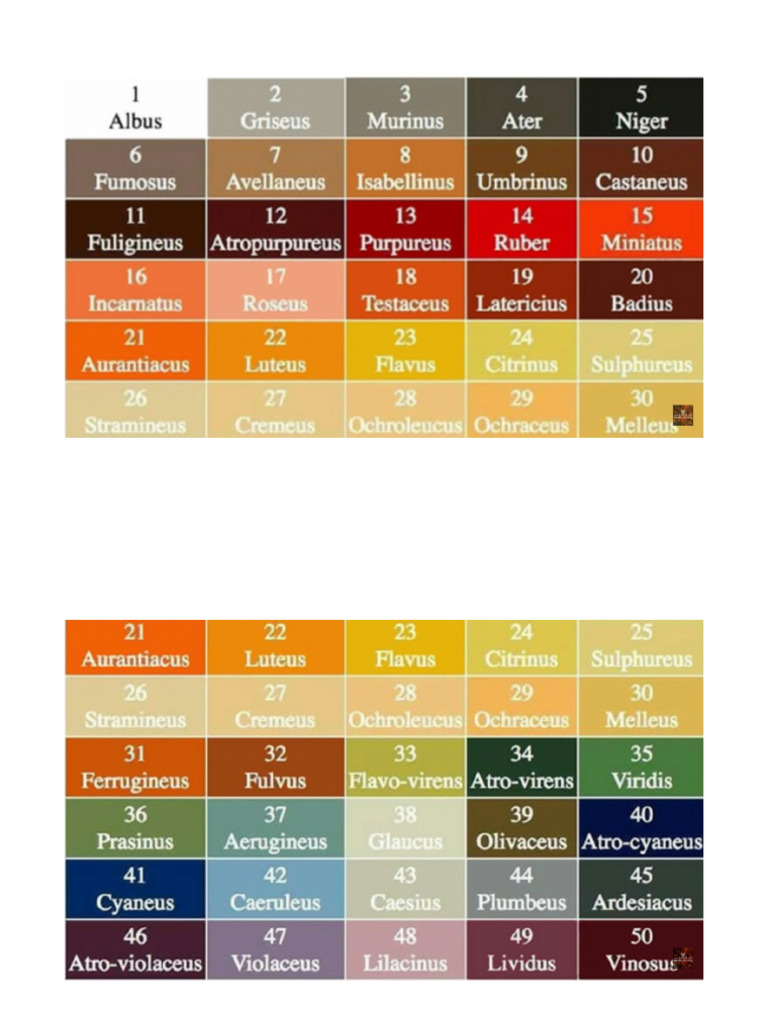 Los Colores de Los Romanos | PDF