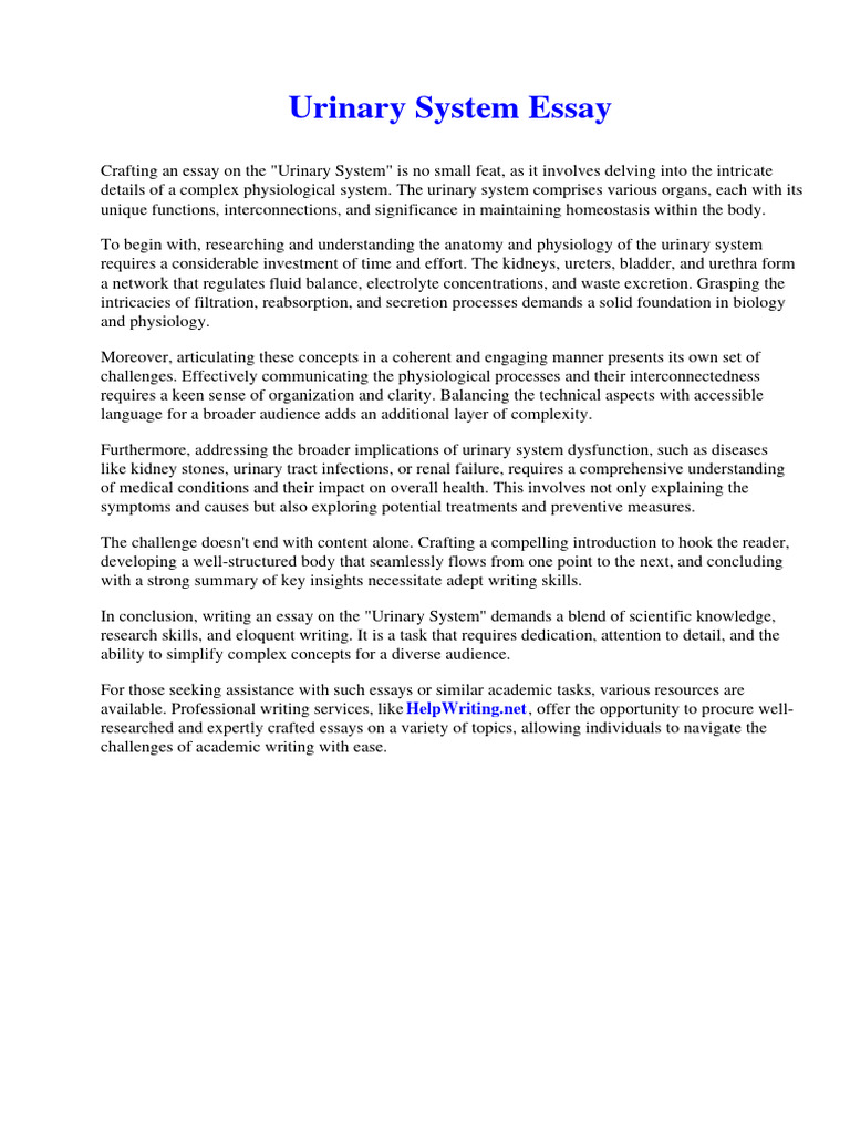 Urinary System Essay | Download Free PDF | Urinary System | Unmanned ...