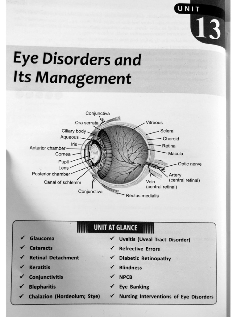 MSN II EYE Disorder | PDF