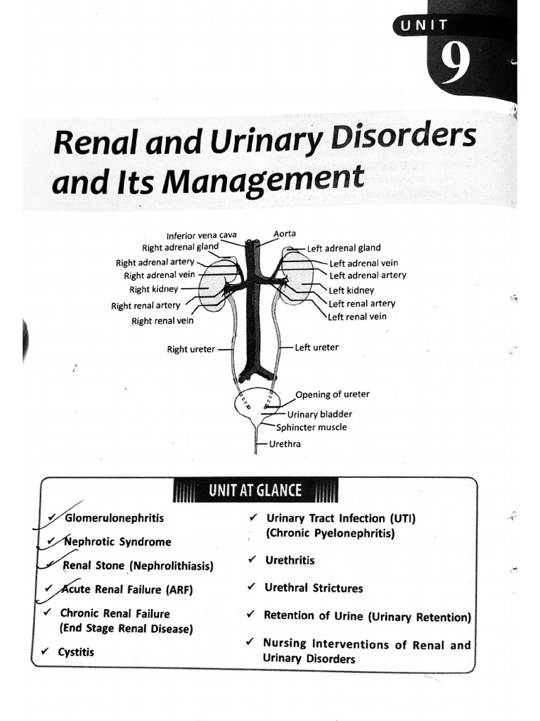 MSN II GenitoUrinary Disorder | PDF