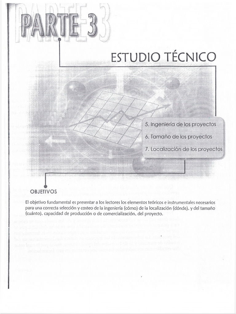 Capitulo 5 Ingenieria de Los Proyectos | PDF