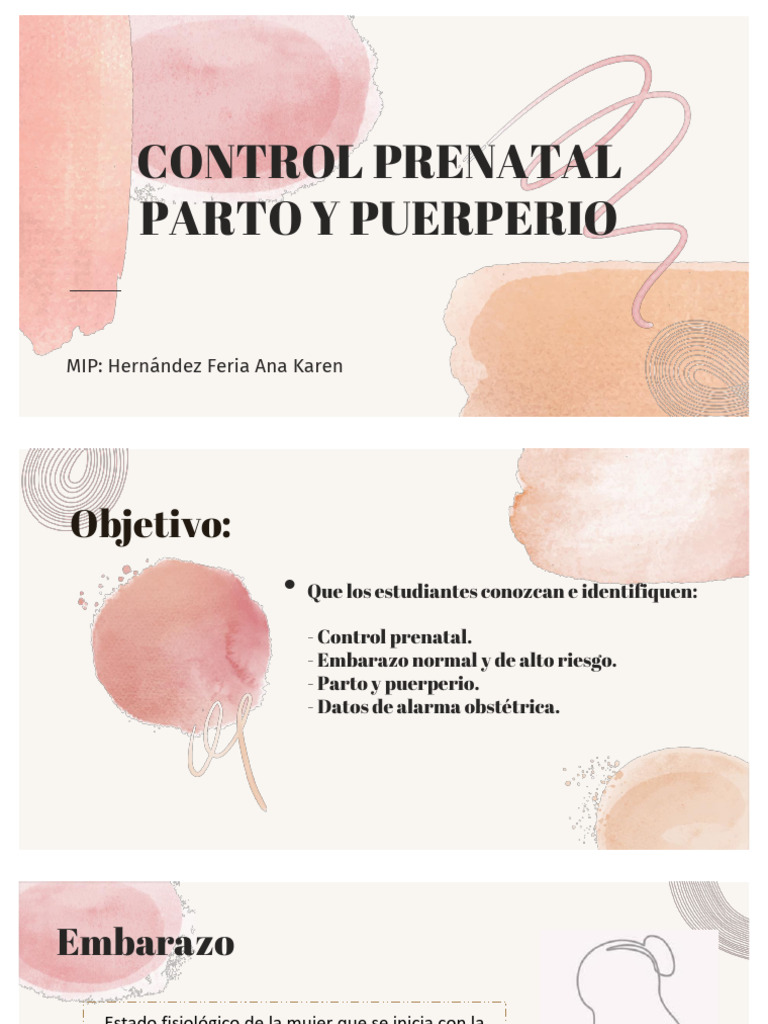 20 Embarazo Control Prenatal Puerperio | PDF | El embarazo | Desarrollo ...