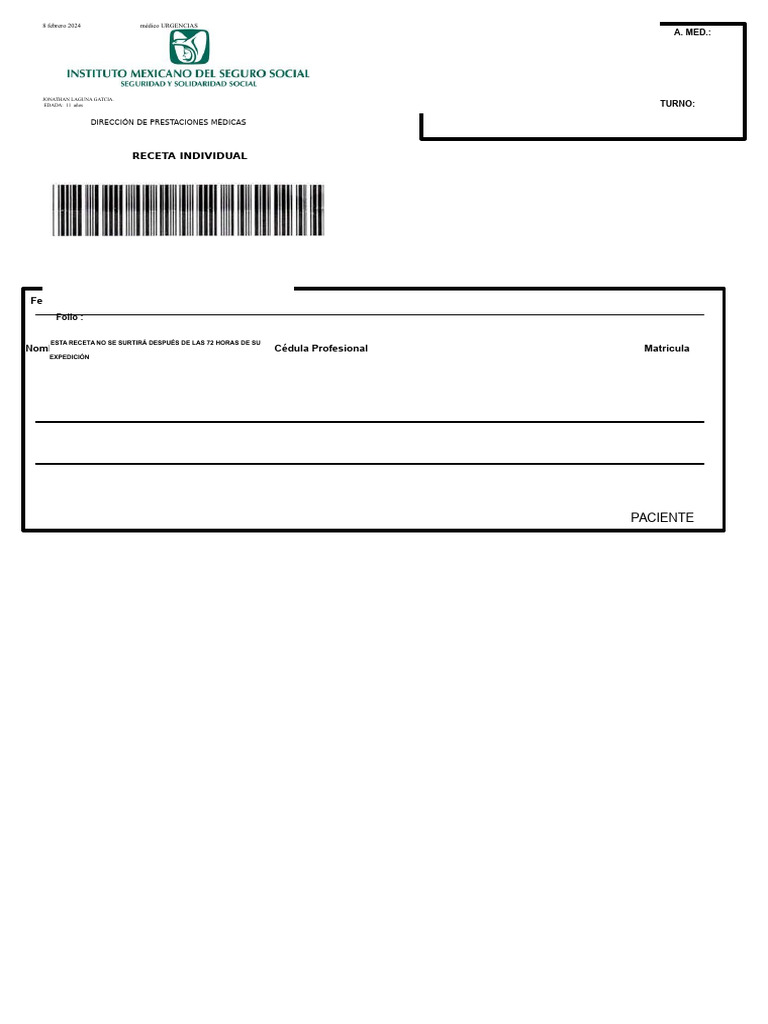 Formato de Receta Medica Imss Editable | PDF