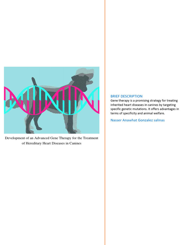 Development of an Advanced Gene Therapy for the Treatment Of Hereditary ...