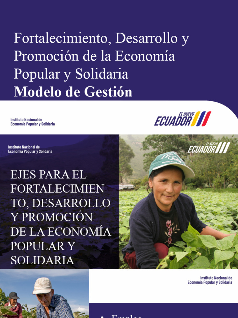 Modelo de Gestión Ieps | PDF | Ministerio (Departamento de Gobierno ...
