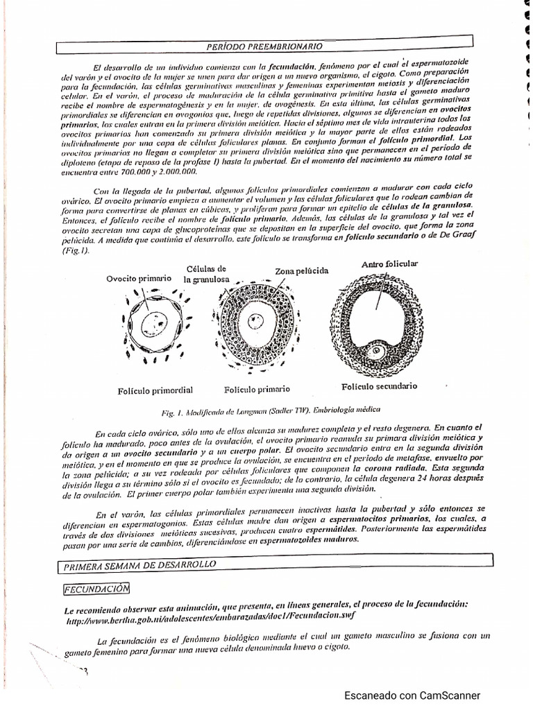 Fecundación y Desarrollo Embrionario | PDF