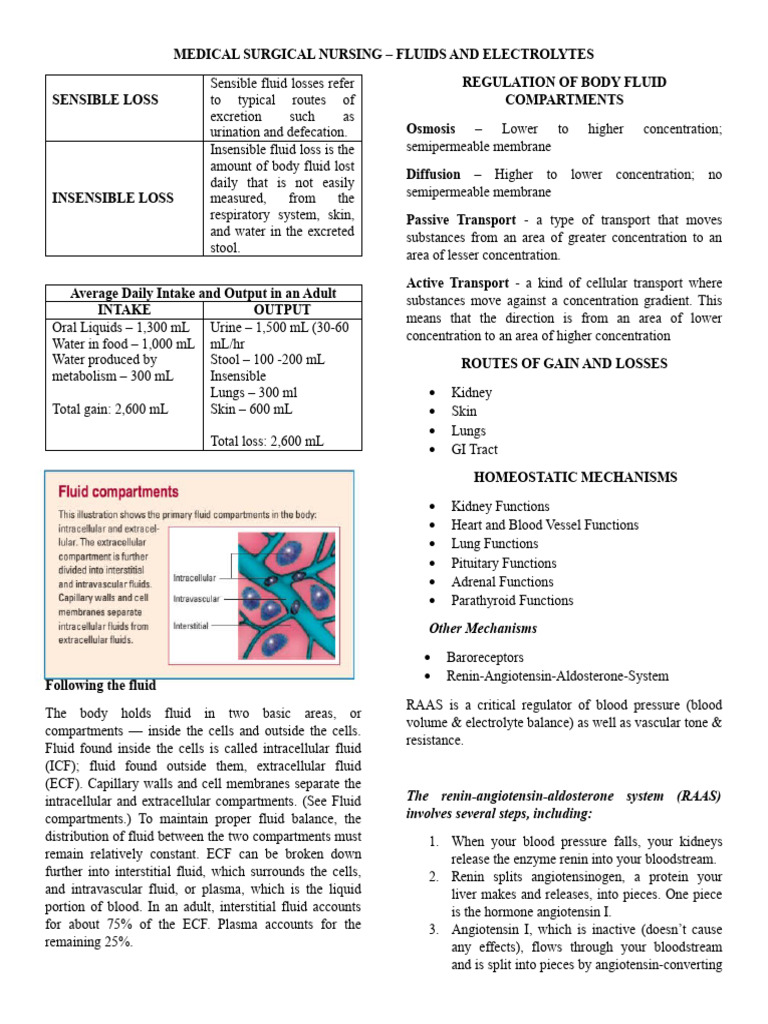 Fluids and Electrolytes Reviewer | PDF | Angiotensin | Clinical Medicine
