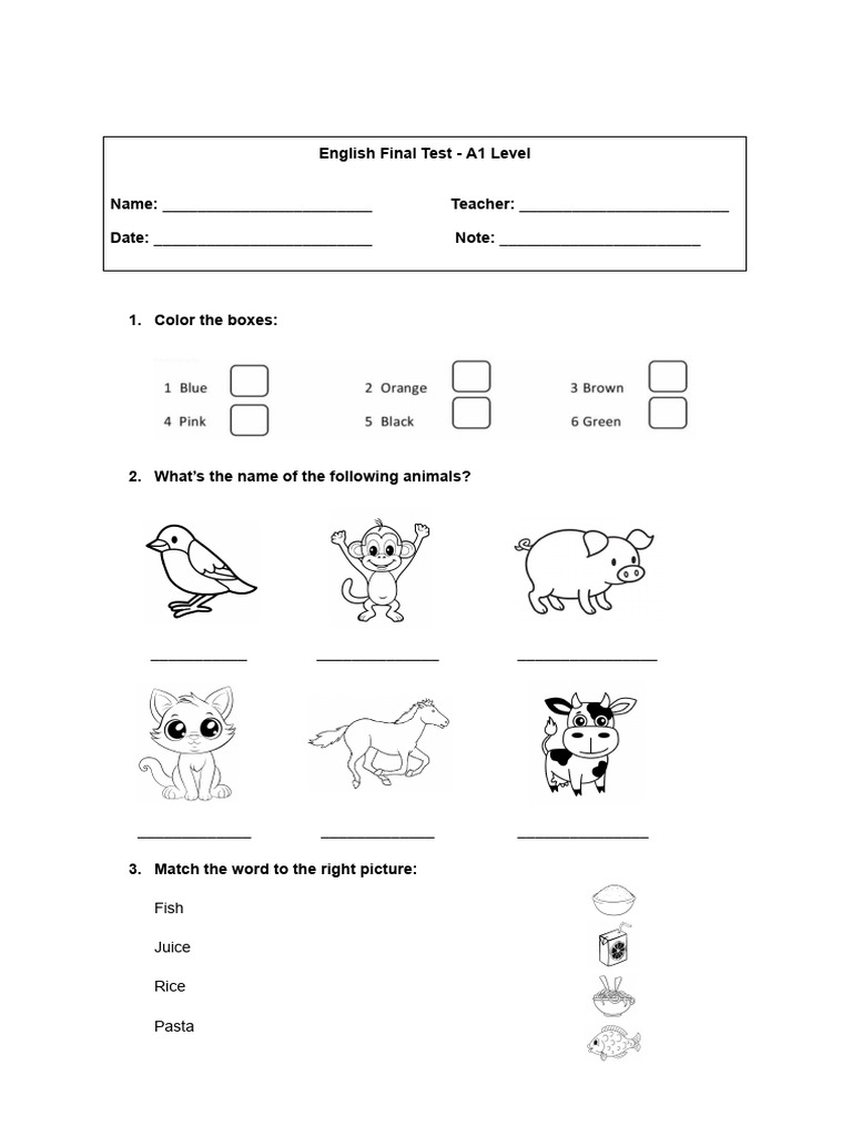 A1 Level English Final Test | PDF