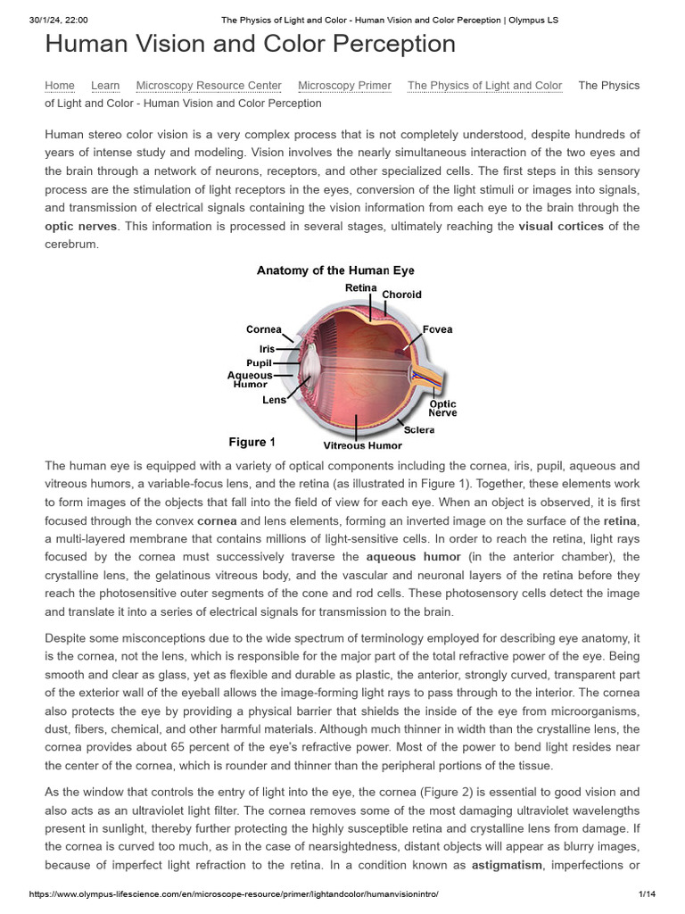 The Physics of Light and Color - Human Vision and Color Perception ...
