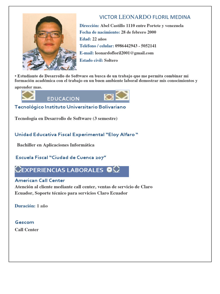 Curriculum Leonardo | PDF