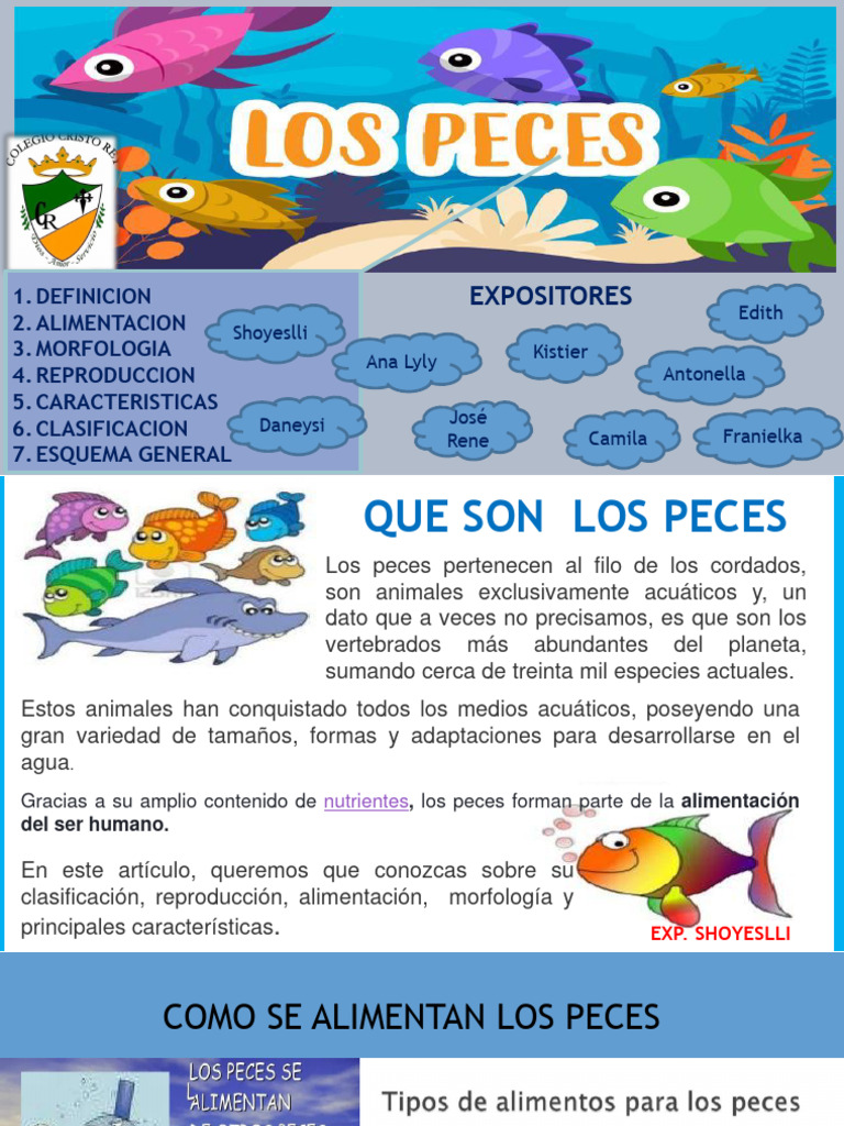 Exposicion Los Peces | PDF | Pescado | Branquia