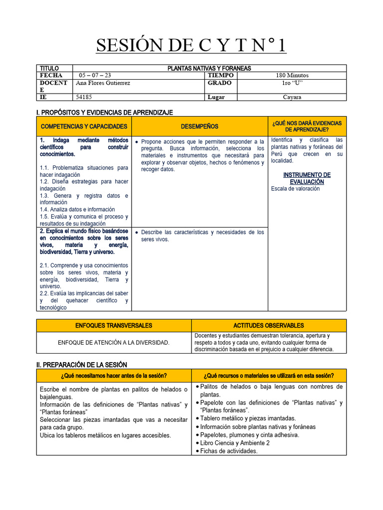 Sesion 1 - Cyt - U5 | PDF | Evaluación | Aprendizaje