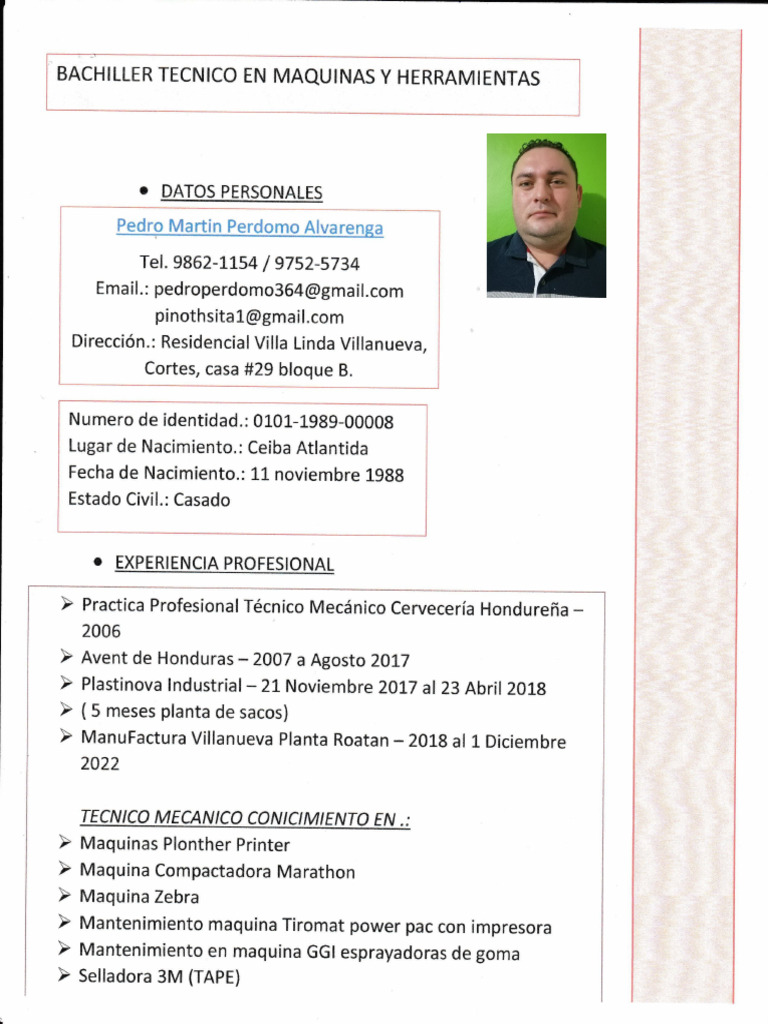 CV de Pedro | PDF