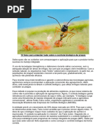 Concorde ICL Brazil | PDF | Agricultura