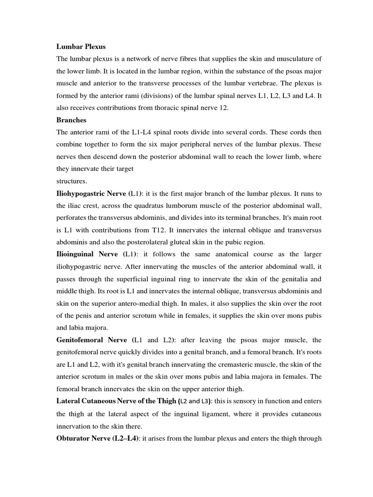 Lumber and Sacral Plexus | PDF | Human Leg | Human Anatomy