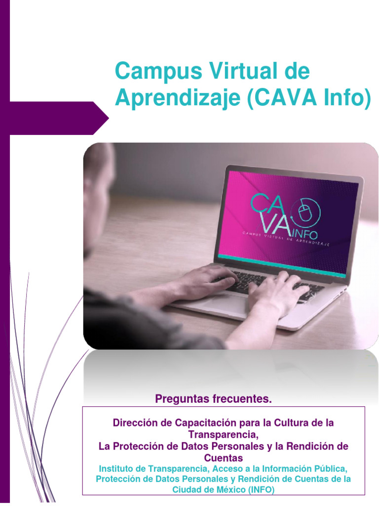 Preguntas Frecuentes CAVA INFO | PDF | Contraseña | Evaluación