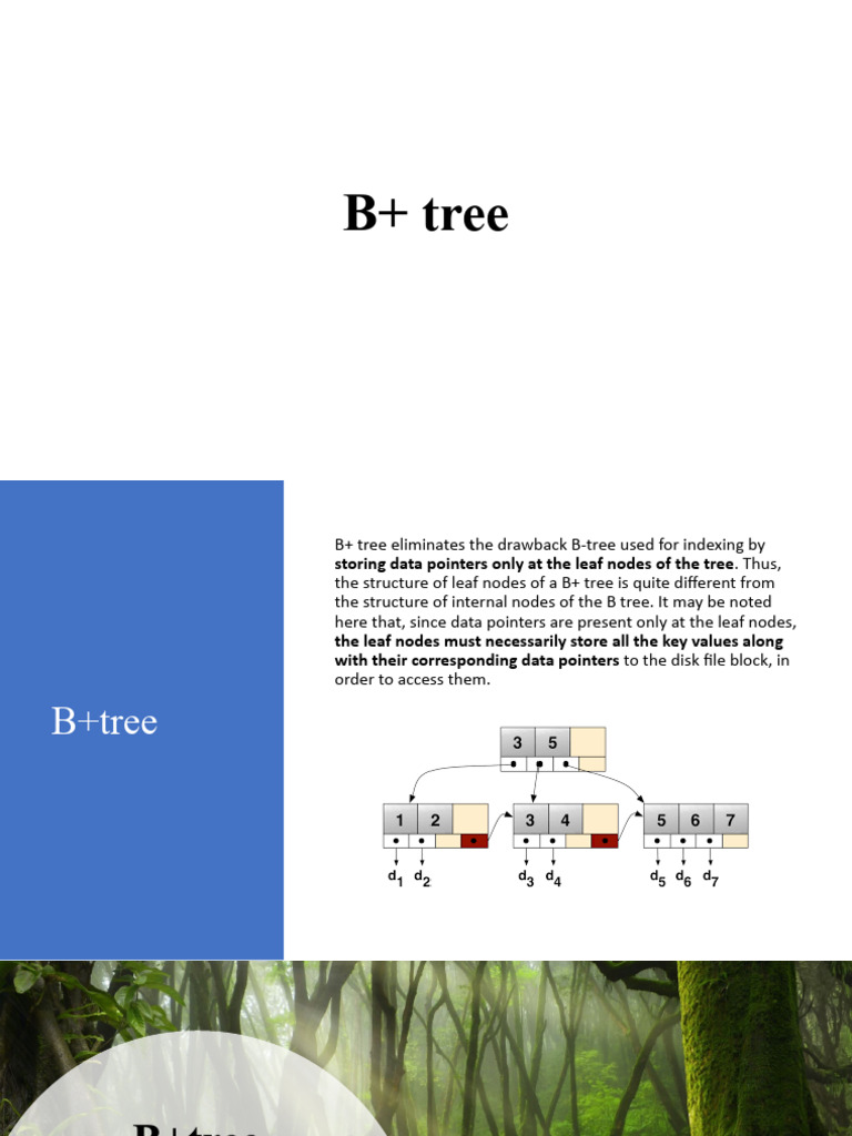 11 B+tree | PDF | Computer Data | Information Retrieval 11 B+tree | PDF | Computer Data | Information Retrieval