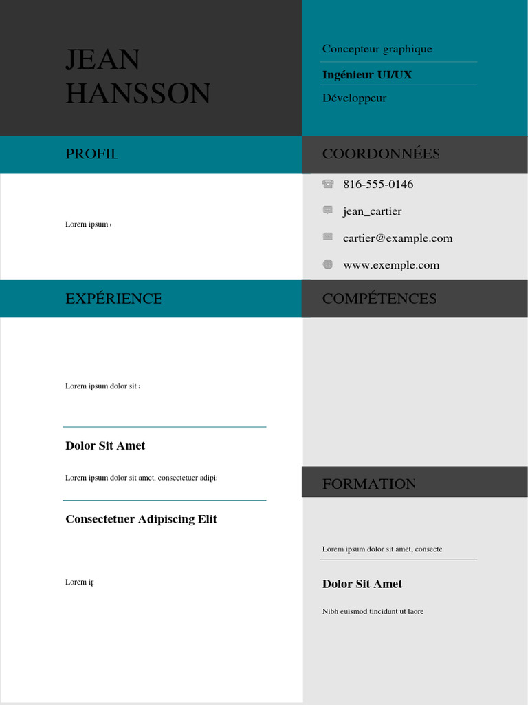 CV Bloc de Couleur | PDF