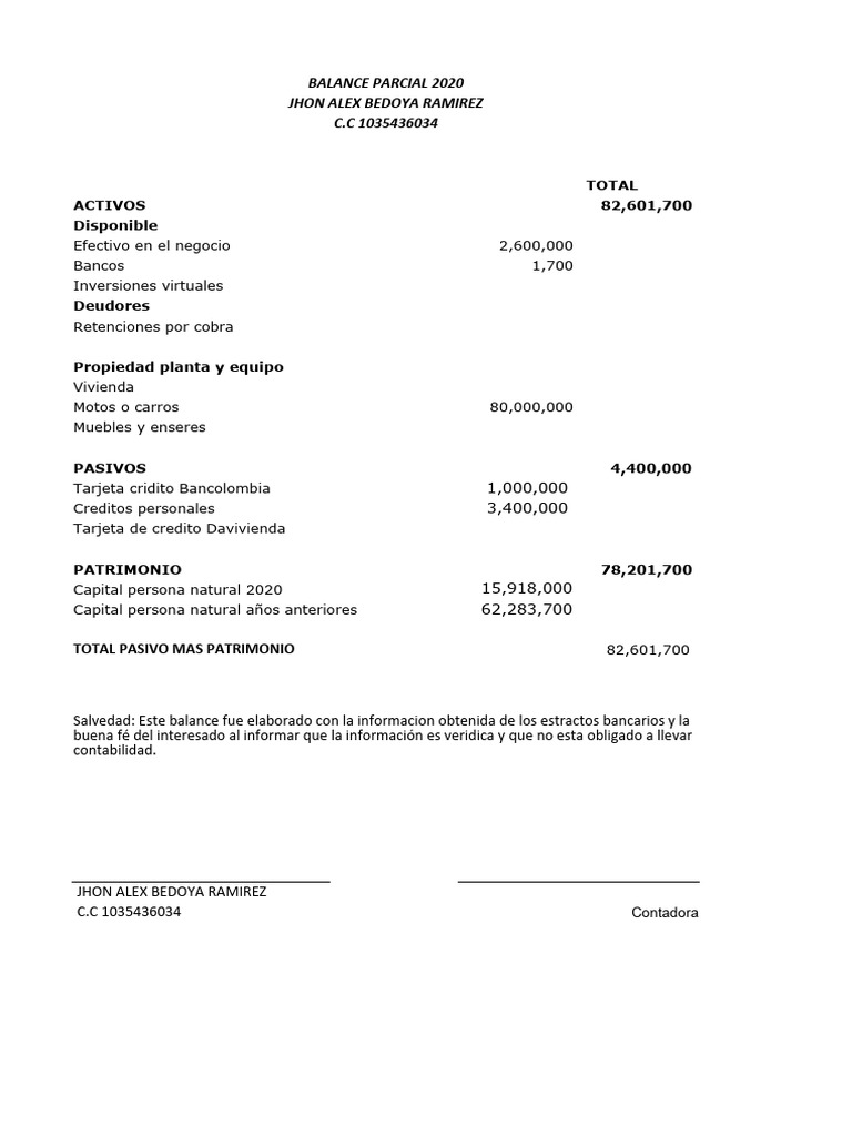 Modelo Balance Persona Natural No Obligada | PDF | Contabilidad | Hoja ...