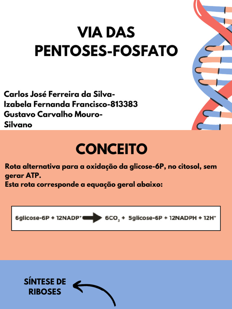 Bioquímica da Via das Pentoses-Fosfato | PDF