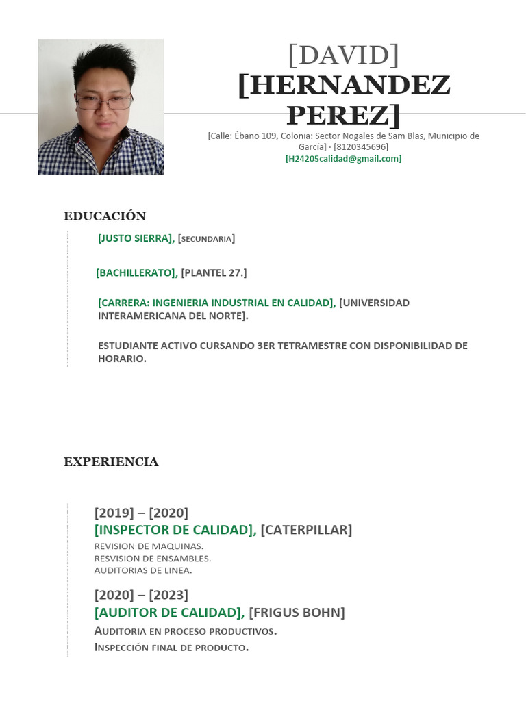 Curriculum David Hernandez | PDF