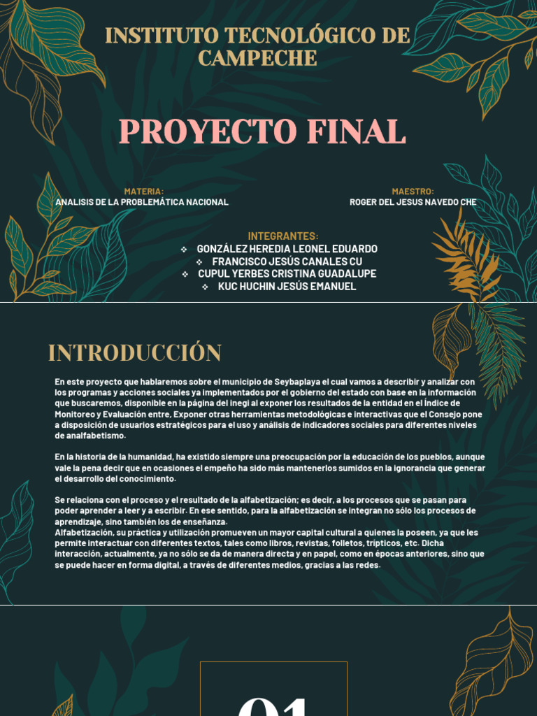 Proyecto Final - Equipo | PDF | Literatura | Aprendizaje