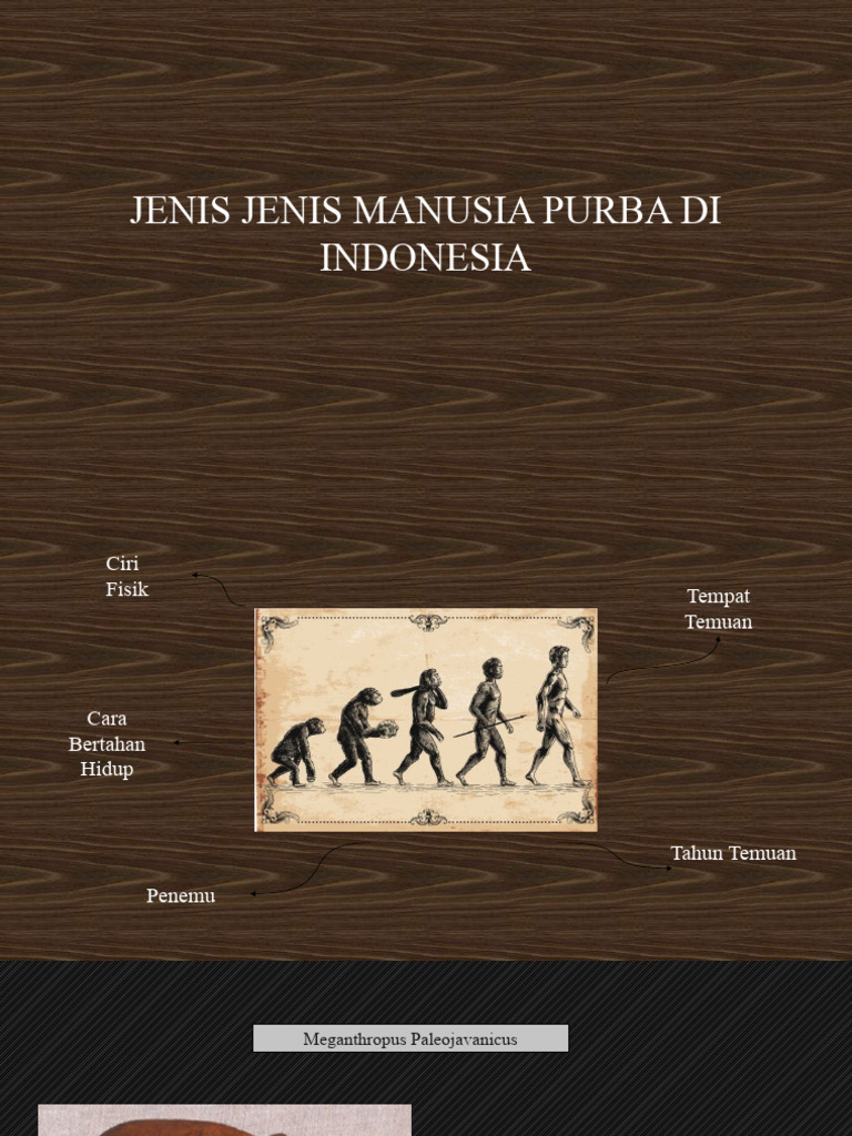 Meganthropus Paleojavanicus: Manusia Purba Jawa | PDF | Seni & Disiplin ...