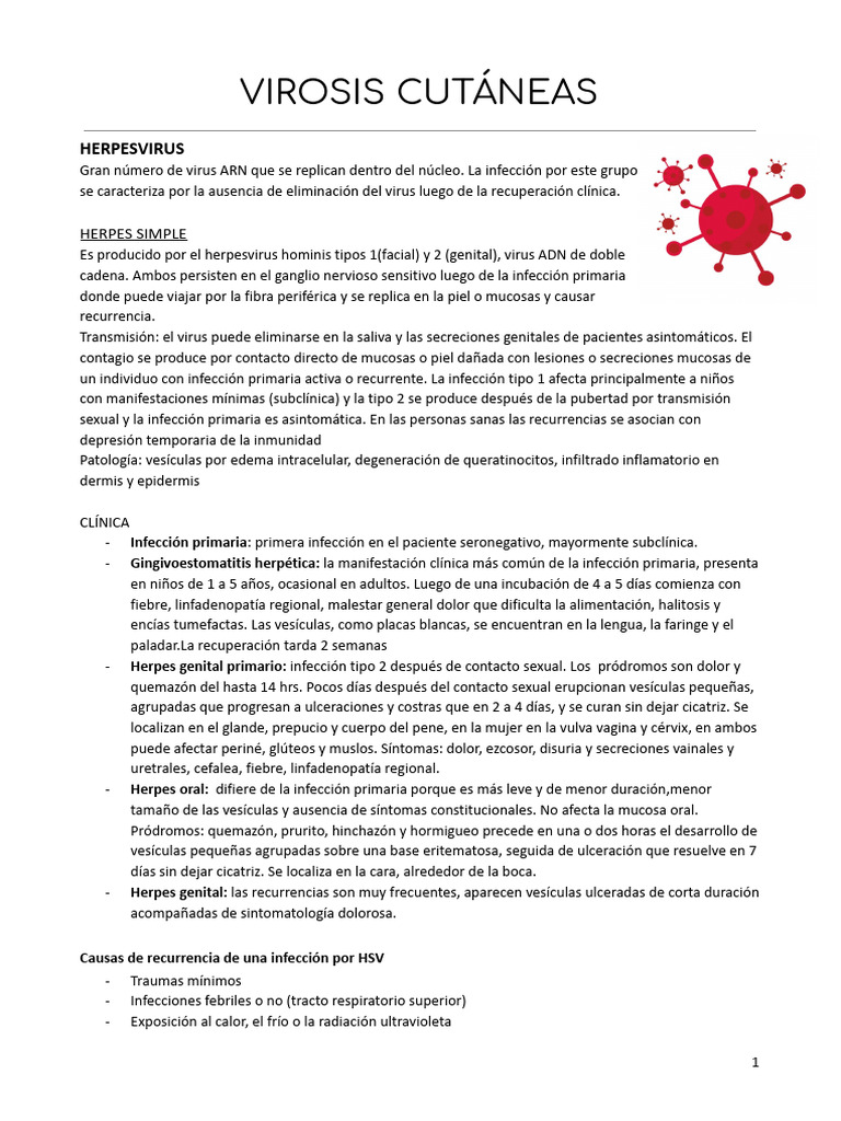 6) Virosis | PDF | Herpes Simple | Inmunología