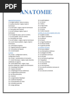 Vascularisation du membre inférieur | PDF | Main | Jambe humaine