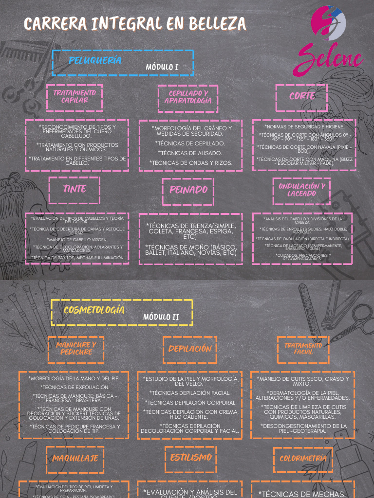 Plan - Belleza | PDF | Productos cosméticos | Pelo